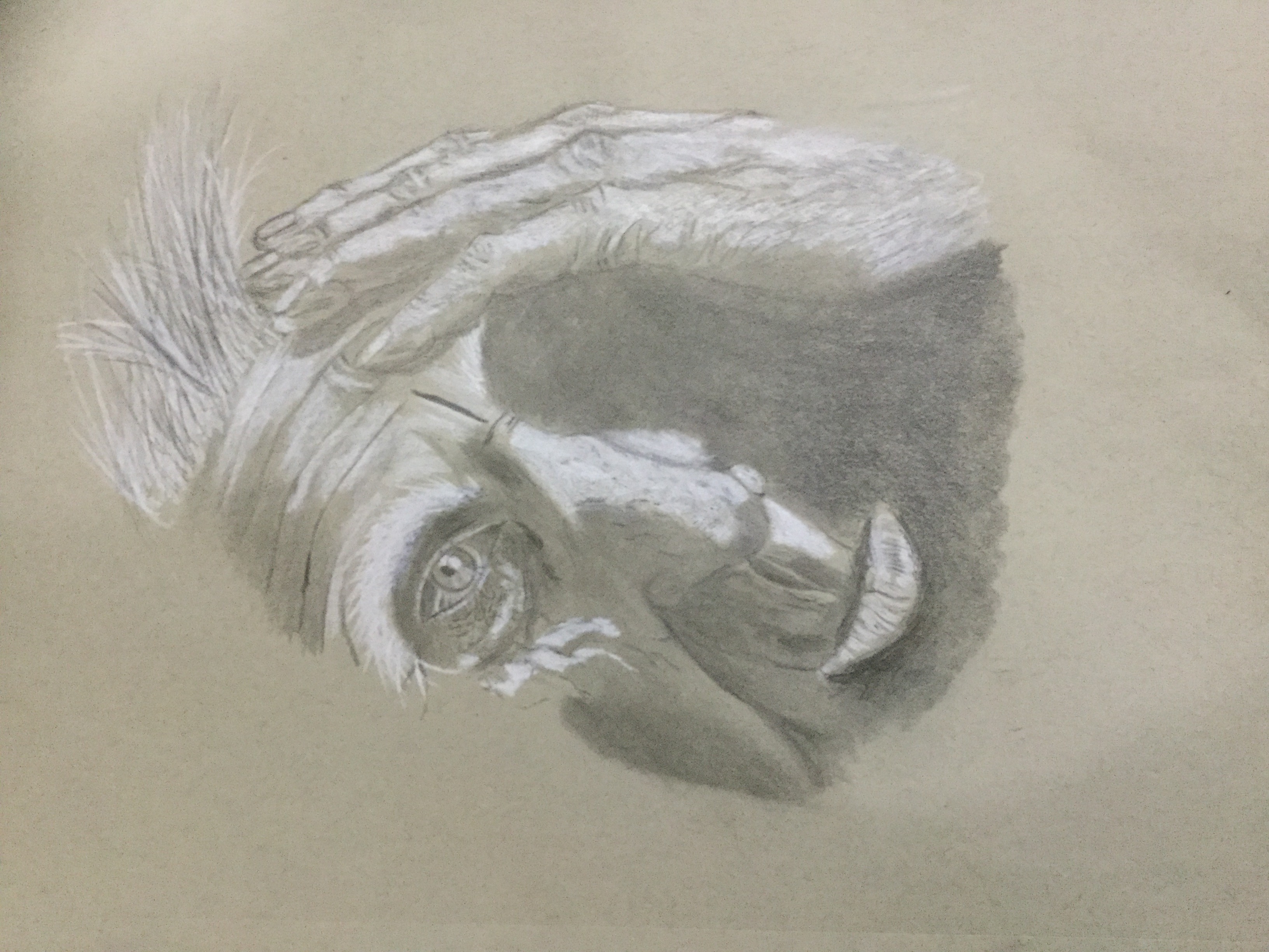 Drawings and Paintings – Dr Dimitrios G Eliades